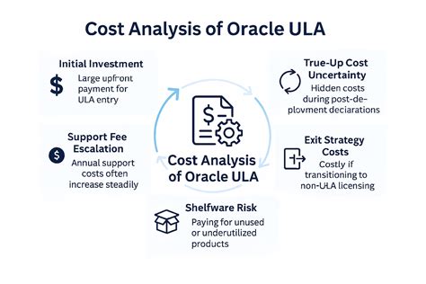 Cost Analysis Of Oracle Ula