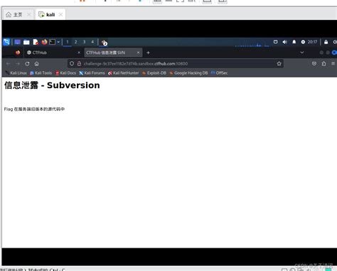 关于信息泄露(1)svn泄露 Csdn博客 关于信息泄露(1)svn泄露 Csdn博客