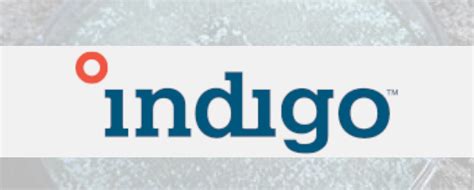 Anvisa Abre Prazo Para Manifestações Sobre Trichoderma Hamatum Revista Cultivar