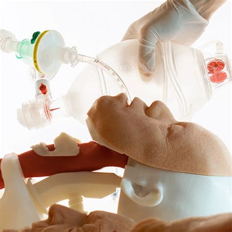 Making Medical Simulators Less Expensive With 3d Printing And Silicone Hackaday