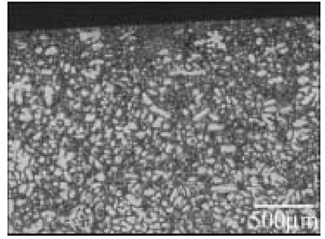 Microstructure Of Gate Section With Dendrite Fragments