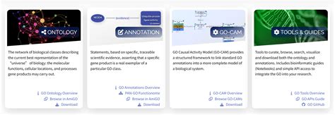 基因本体论数据库——gene Ontology（go）数据库快速上手指南！ 摩熵化学molaid