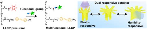 A Facile Strategy For The Development Of Recyclable Multifunctional
