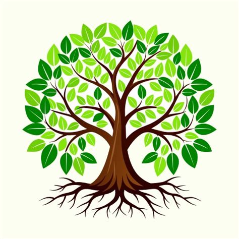 Tree With Roots Royalty Free Vector Image VectorStock