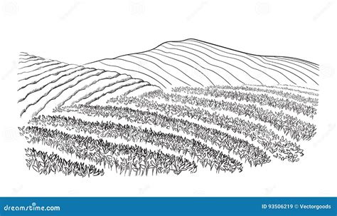 Plantation Stock Illustrations Plantation Stock Illustrations Vectors Clipart