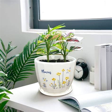 Honey Bee Ceramic Pot Gardenya