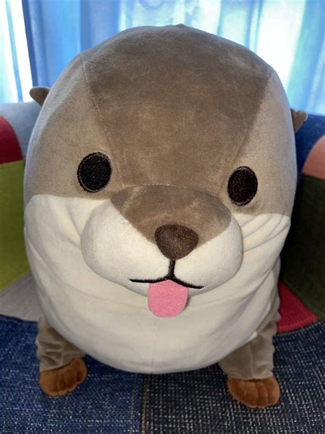 Yahooオークション くったりカワウソ もちふわキューティーフェイス