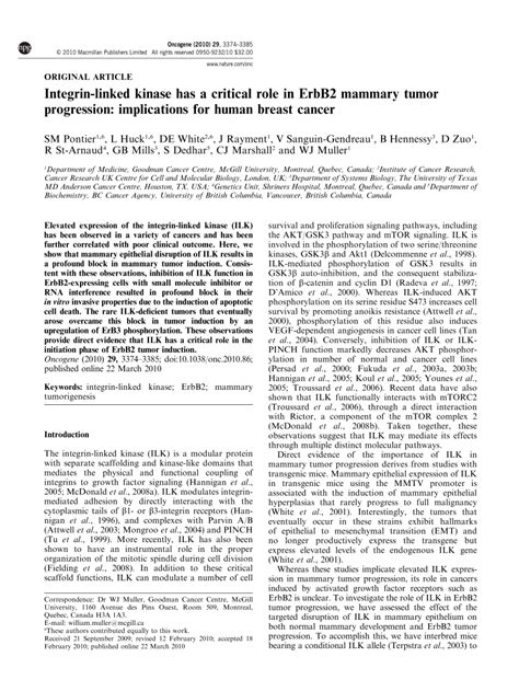 Pdf Integrin Linked Kinase Has A Critical Role In Erbb2 Mammary Tumor Progression
