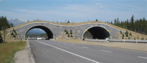 Egetated Wildlife Overpass On Trans Canada Highway In Banff National