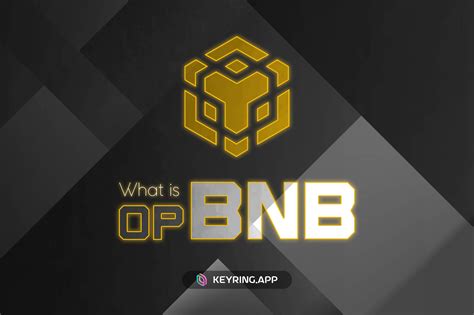 What Is Opbnb An Amazing And Complete Guilde To Opbnb 2024