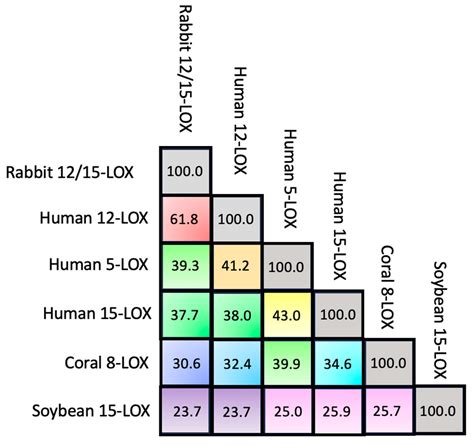 Conformational Dynamics Of Lipoxygenases And Their Interaction With Biological Membranes
