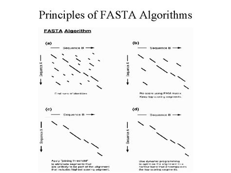techniques for protein sequence alignment and database searching