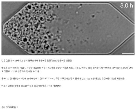 인류 드디어 생명창조 성공 포텐 터짐 최신순 에펨코리아
