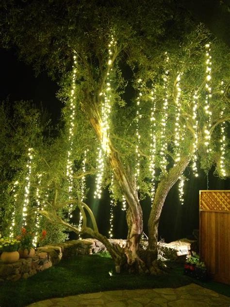 ไอเดียไฟประดับต้นไม้สุดโรแมนติก ไว้จัดปาร์ตี้ งานแต่ง Ladyissue เว็บรีวิวเครื่องสำอาง ชุมชน