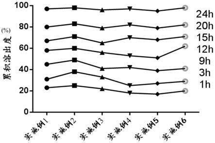 一种含有氢溴酸加兰他敏的缓释片及其制备工艺的制作方法 2