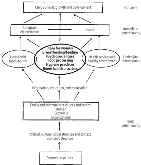 Unicef Conceptual Framework For Determinants Of Nutritional Status