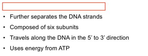 Genetics Chapter 7 B Dna Replication Flashcards Quizlet