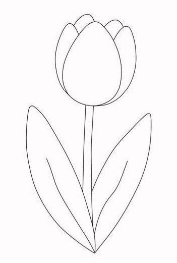 Pin By Savagequeen On Flower Zentangle Patterns Tulip Drawing Easy
