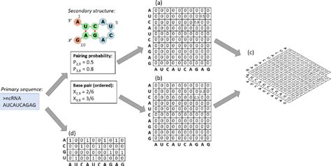Examples Of Different Encoding Matrices A Probability Matrix B Download Scientific
