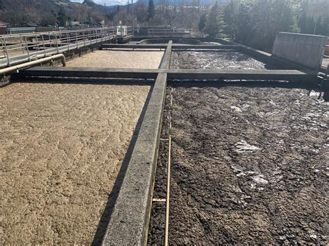 challenge high svi bulking sludge floating sludge and filamentous