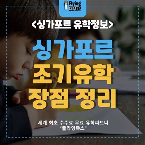 싱가포르 조기유학 장점 고려해야할점 싱가포르 동반유학 싱가포르 국제학교 정보