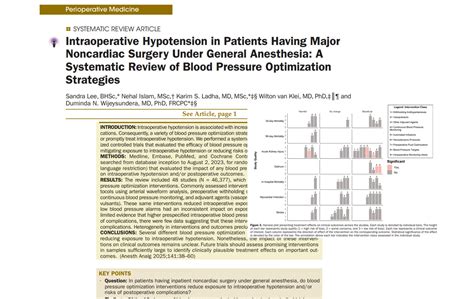 Understanding Consciousness During General Anesthesia Nysora