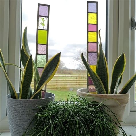 Stained Glass Plant Stakes With A Zinc Came Border Stained Glass Panels Glass Panels Stained