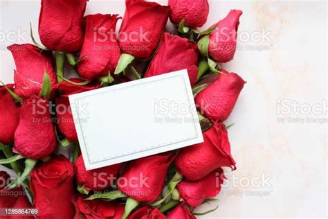 레이아웃 인사말 카드 붉은 장미의 아름다운 꽃다발과 텍스트를위한 공간 0명에 대한 스톡 사진 및 기타 이미지 0명 14 3월 Istock