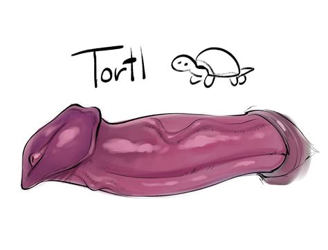 Rule 34 Animal Genitalia Animal Penis Cloacal Penis Feral Genitals Hi Res Male Omega Haunter