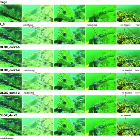 The Qualitative Comparison Of The Detection Results Of Different