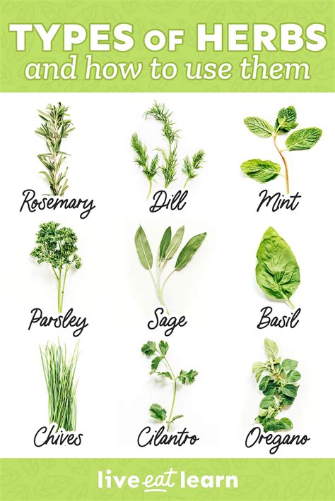Discover The Hidden Gems Lesser Known Culinary Herbs