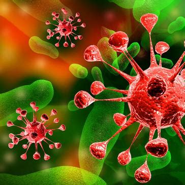 Гломерулонефрит - причини, симптоми, лечение | CredoWeb