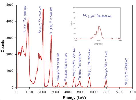Light Elements In Samples From The Stardust Mission Analysed By Ion Beams At The Nuclear