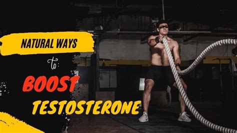 Best Testosterone Boosting Ingredients To Elevate Vitality
