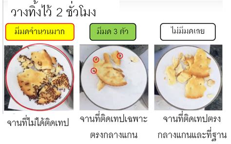 Csc Co Ltd บ ซีเอสซี จำกัด ผู้เชี่ยวชาญด้านการแก้ปัญหาฝุ่นขนาดใหญ่ในห้องคลีนรูม