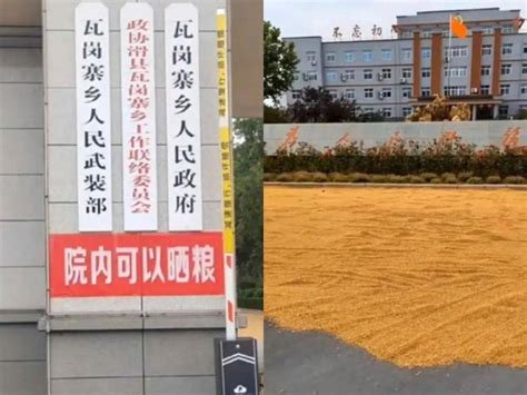 侠客岛政府大院开门让农户晒粮为人民服务就该这样 小麦 群众 地方