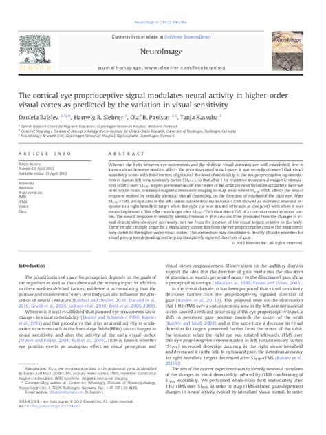 Pdf The Cortical Eye Proprioceptive Signal Modulates Neural Activity In Higher Order Visual