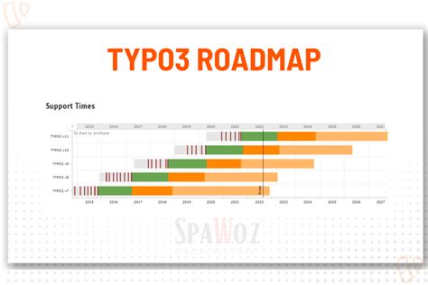 The Step By Step Guide For TYPO3 Update Spawoz