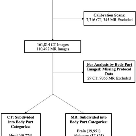 Flowchart Detailing Methodology For Inclusion And Exclusion Of Mrct
