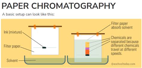Explain The Mixture Separation Techniques CBSE Tuts