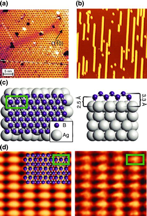 Scanning Tunneling Microscope