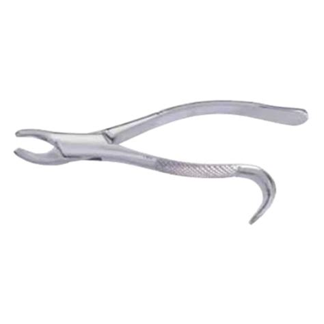 Stainless Steel Extracting Forceps Astrin Surgical