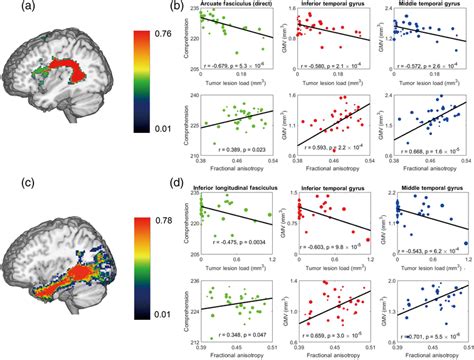 multiple regression analyses of tumor lesion load of the language