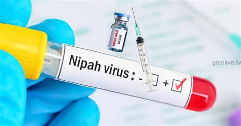 India Initiates Research For Nipah Virus Vaccine Development
