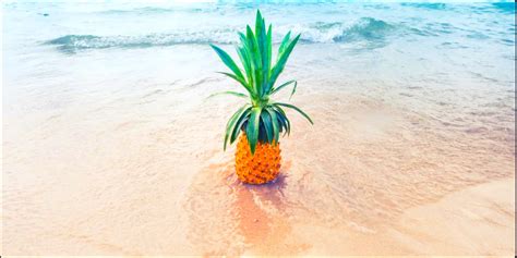 Javascript 的相等运算符有什么区别 源境博客 Javascript 的相等运算符有什么区别 源境博客