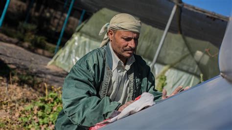 Fao Improving Energy Access To Strengthen Resilience Through The Safe Access To Fuel And Energy