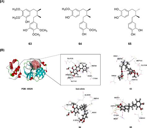 The Protease Compound Interaction Patterns A The Structures Of