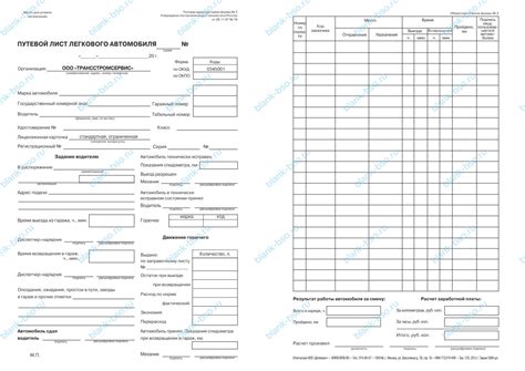 Путевой лист легкового автомобиля ~ Образец Bs0288 ~ Бланки и журналы онлайн