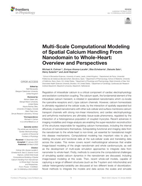 Pdf Multi Scale Computational Modeling Of Spatial Calcium Handling