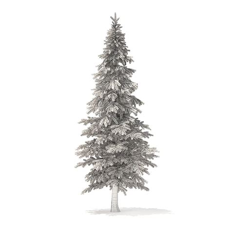 Fir Tree 4 5m 3d Model Download Trees On
